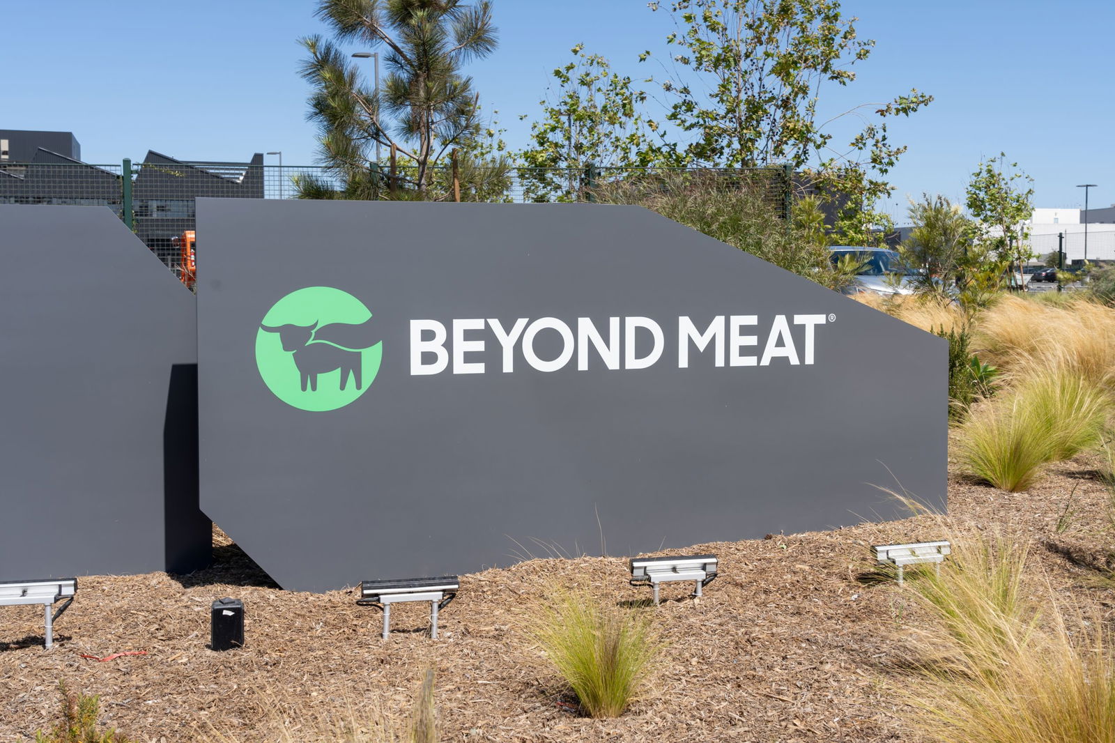Beyond Meat-Aktie: Der Wahnsinn nimmt seinen Lauf! - Finanztrends